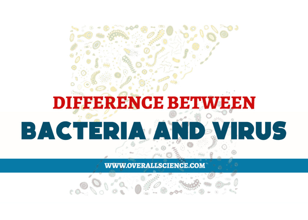 Differences Between Bacteria and Virus - Overall Science