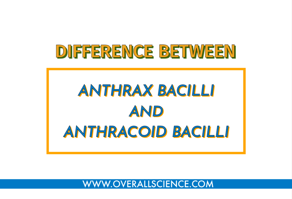 Differences between Anthrax bacilli and Anthracoid bacilli - Overall ...