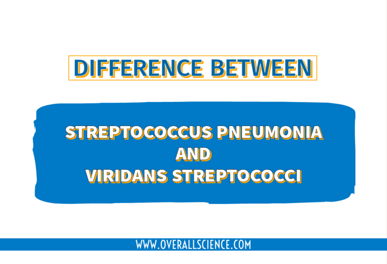 Differences Between Streptococcus Pneumoniae and Viridans Streptococci ...